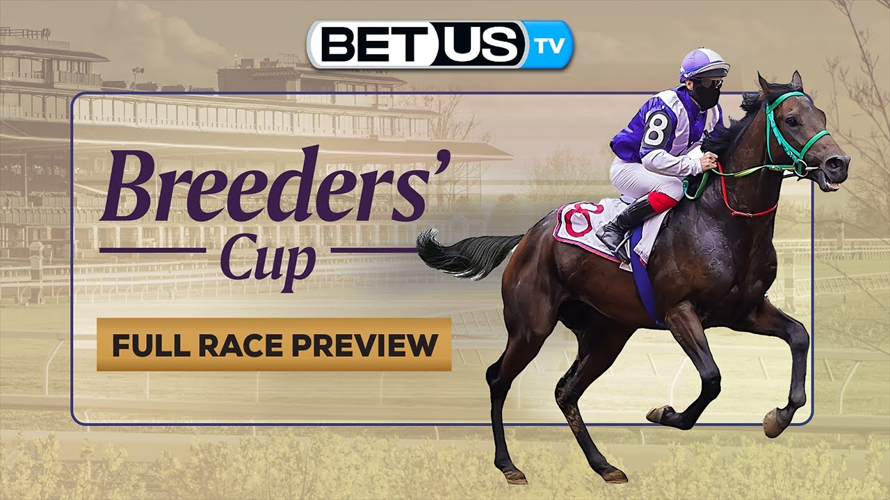 Breeders’ Cup 2022: Top Contenders, Picks, Predictions & Odds