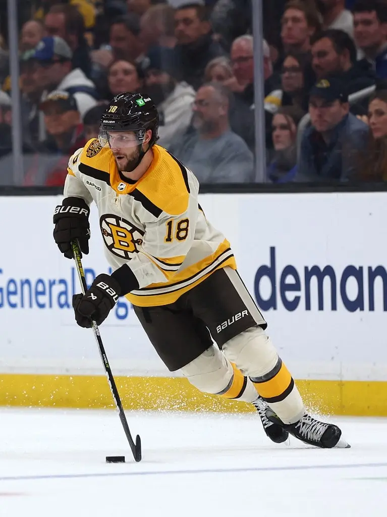 Boston Bruins Stats, Odds, Standings, Schedule - NHL 2023