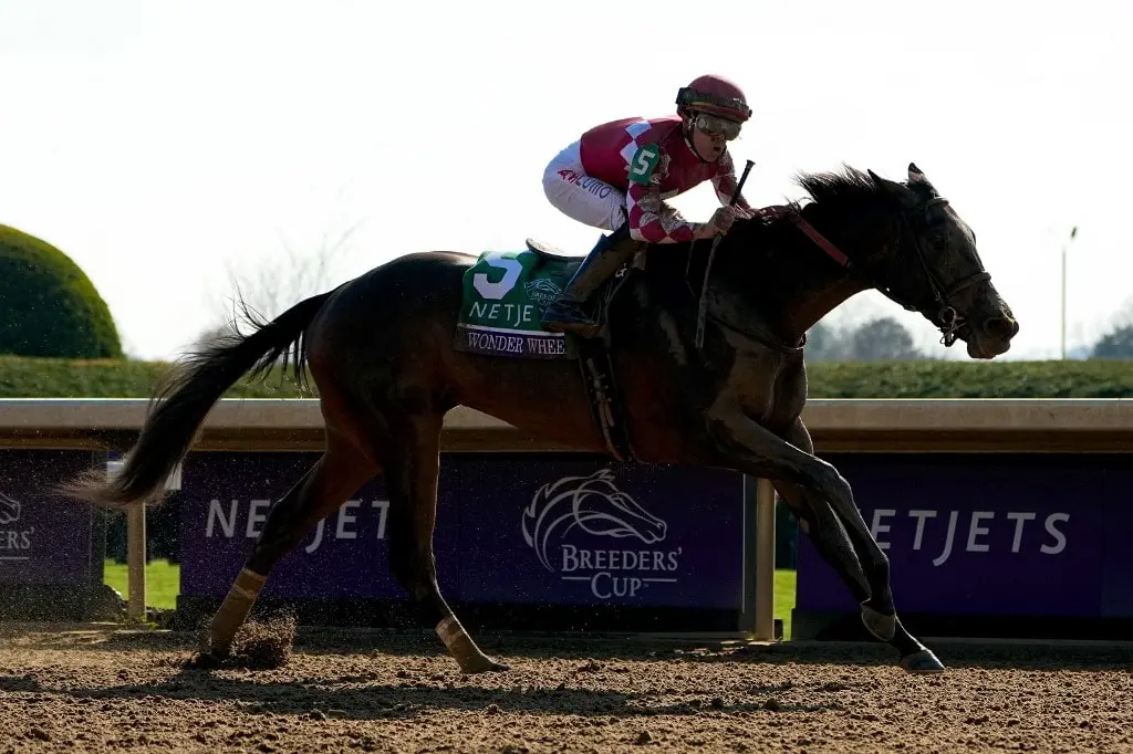 Pick 5 Picks For Kentucky Oaks Offers Many Roads to Cash