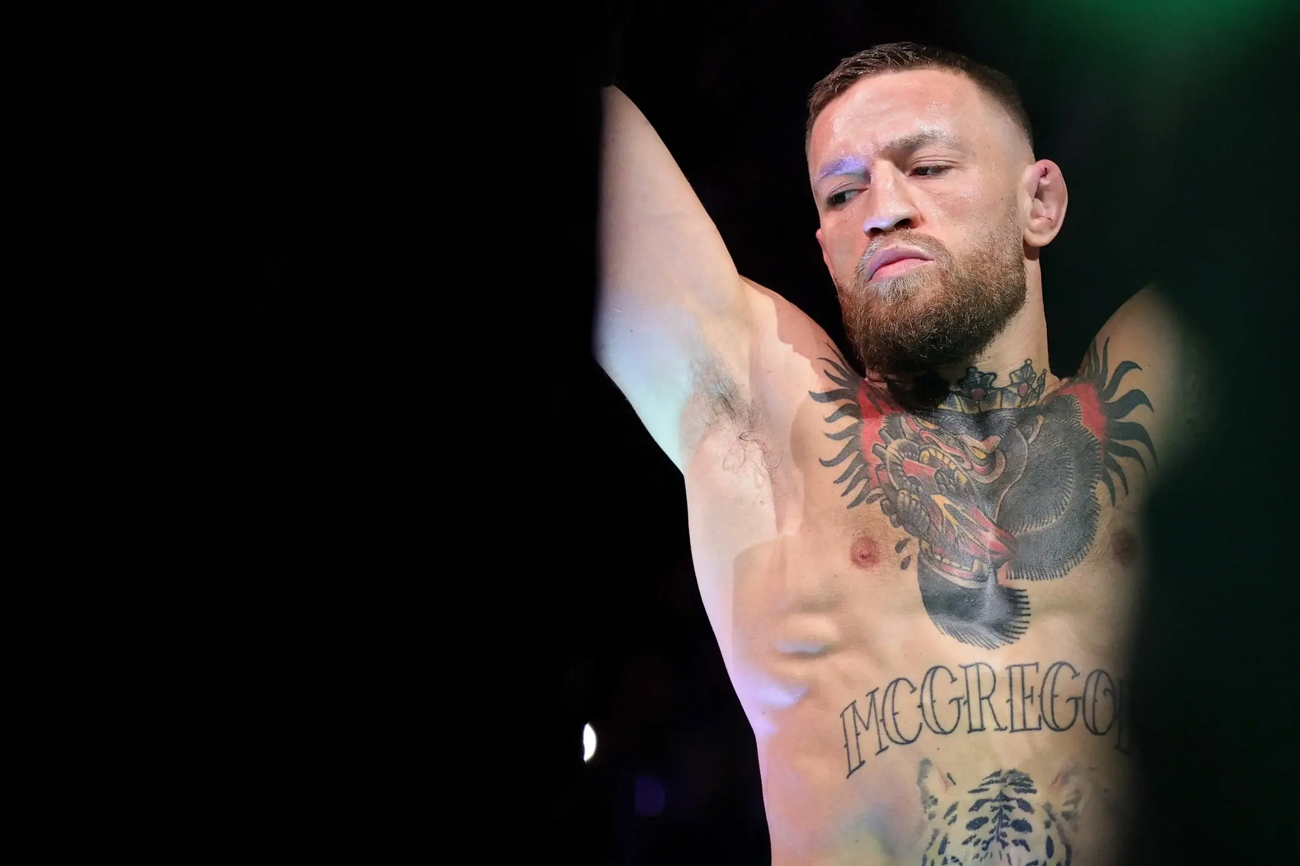 Conor McGregor Is Back in Training, UFC Fans Can Relax