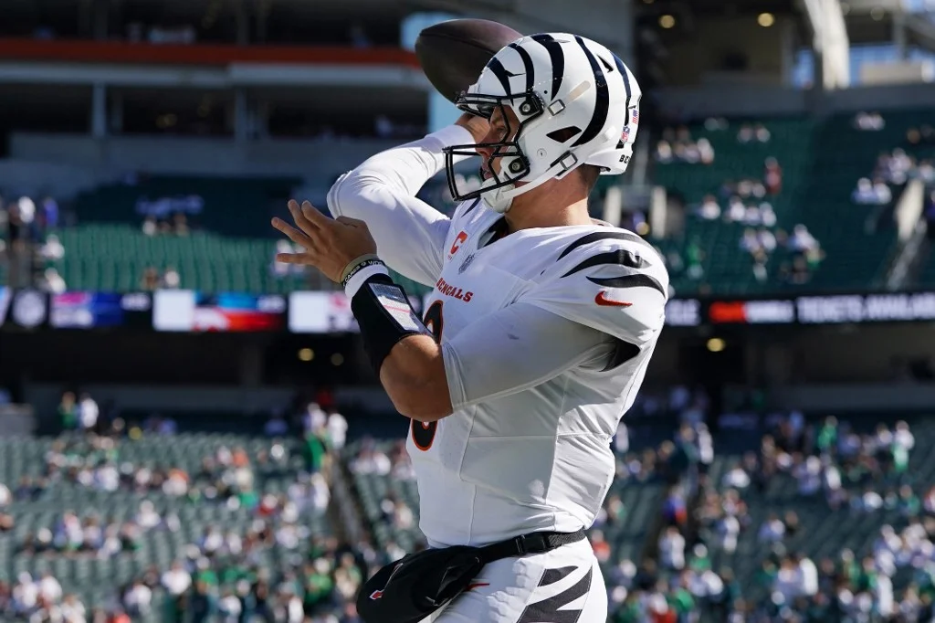 Raiders vs Bengals Week 9 Predictions: Bengals Favored 11/3