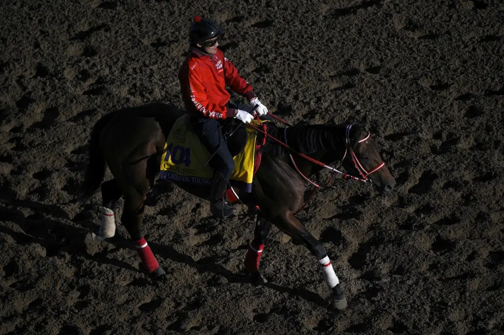 Kentucky Oaks/Derby Double Prediction, Picks and Odds