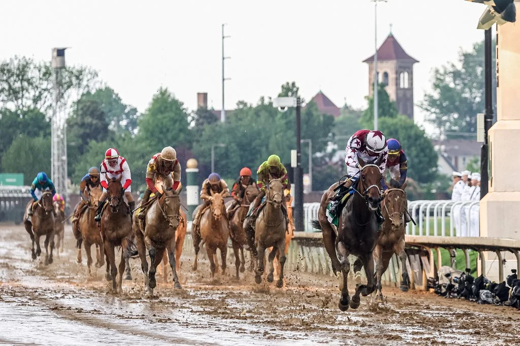 Black-Eyed Susan Predictions and Picks, 5/16: Reply a Must for This Bet